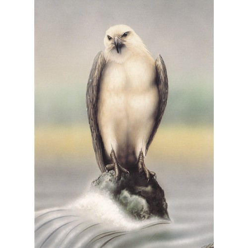 WATERMARK GREETING CARD PERCHED SEA EAGLE